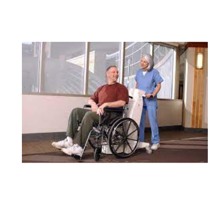 Dane Wheelchair Mover - Warequip : Warequip